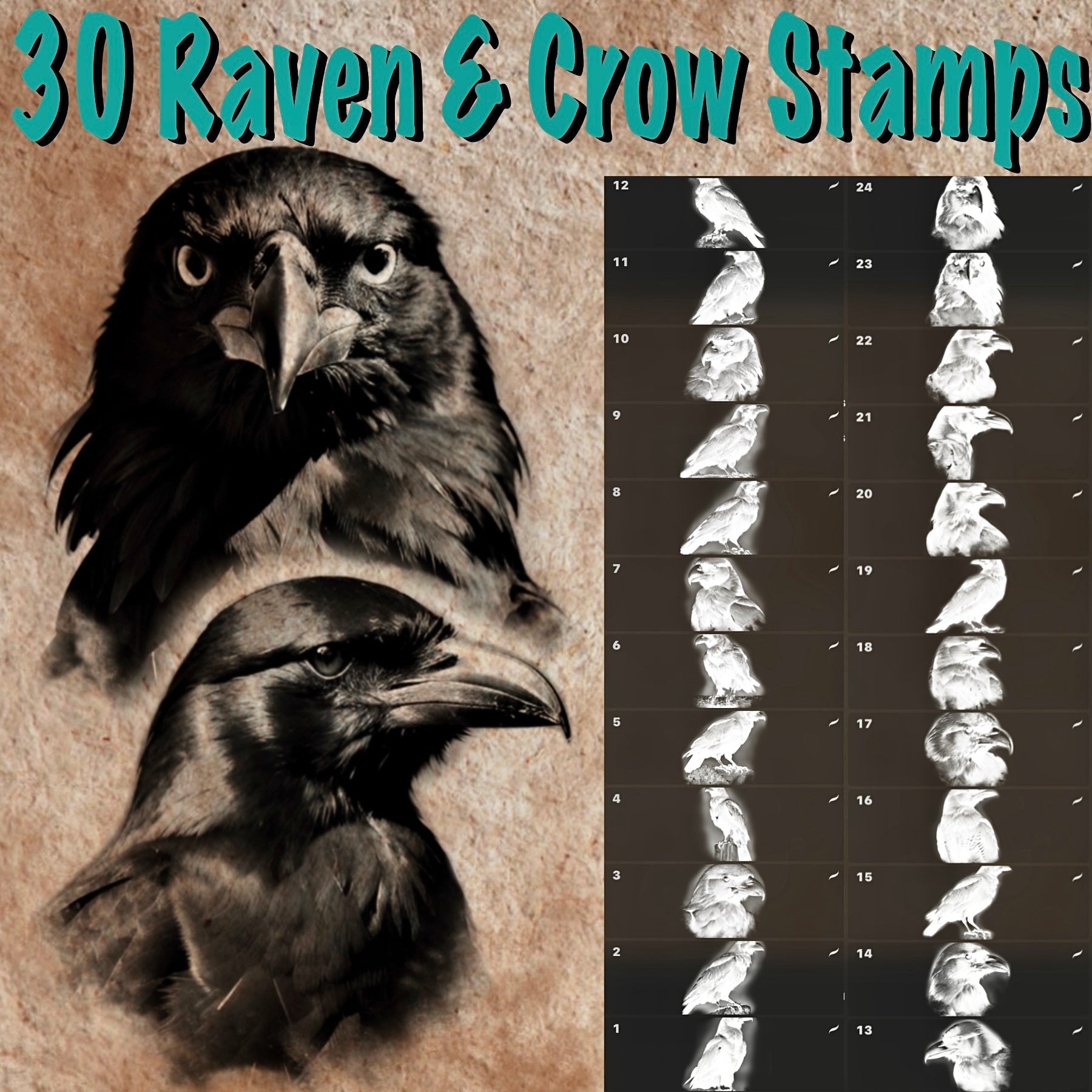 Ravens & Crows Set, 30 Stamp – Inked Matrix